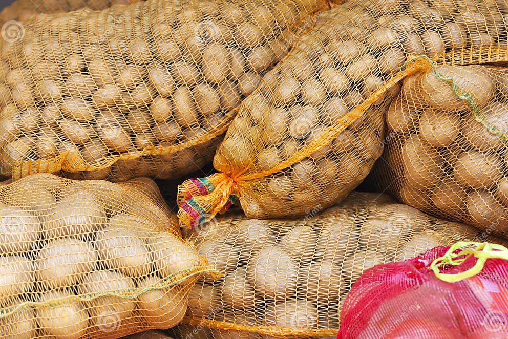 Sacks of potatoes stock photo. Image of stand, heap, farmers - 31282292