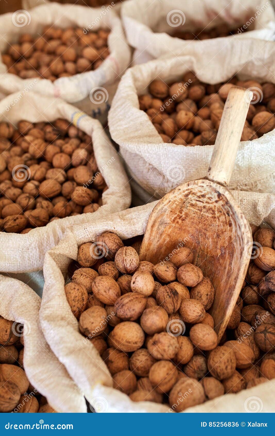 Sacks of walnuts stock photo. Image of health, season - 85256836