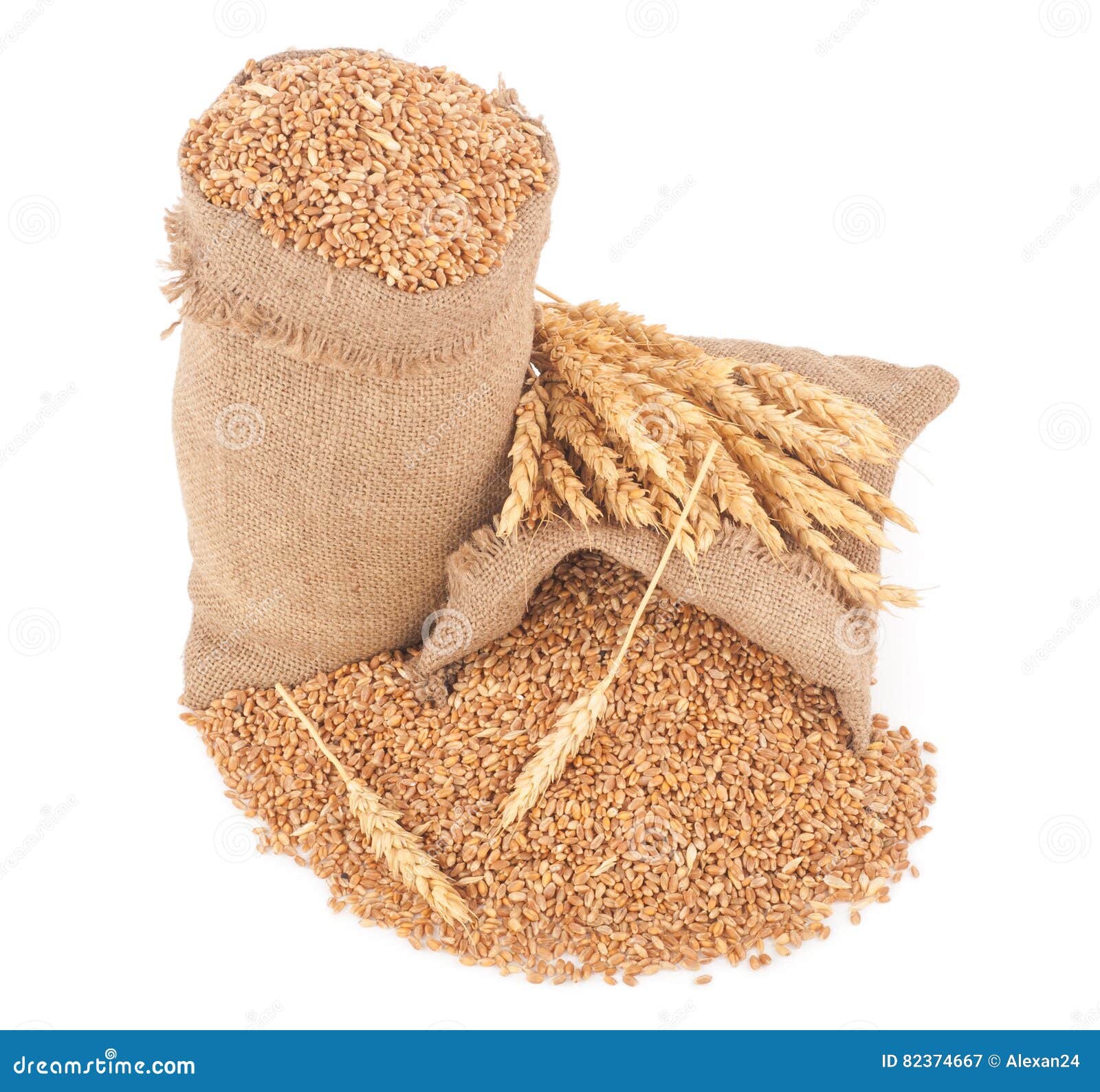 Sacks of wheat grains stock image. Image of spikes, scattered - 82374667