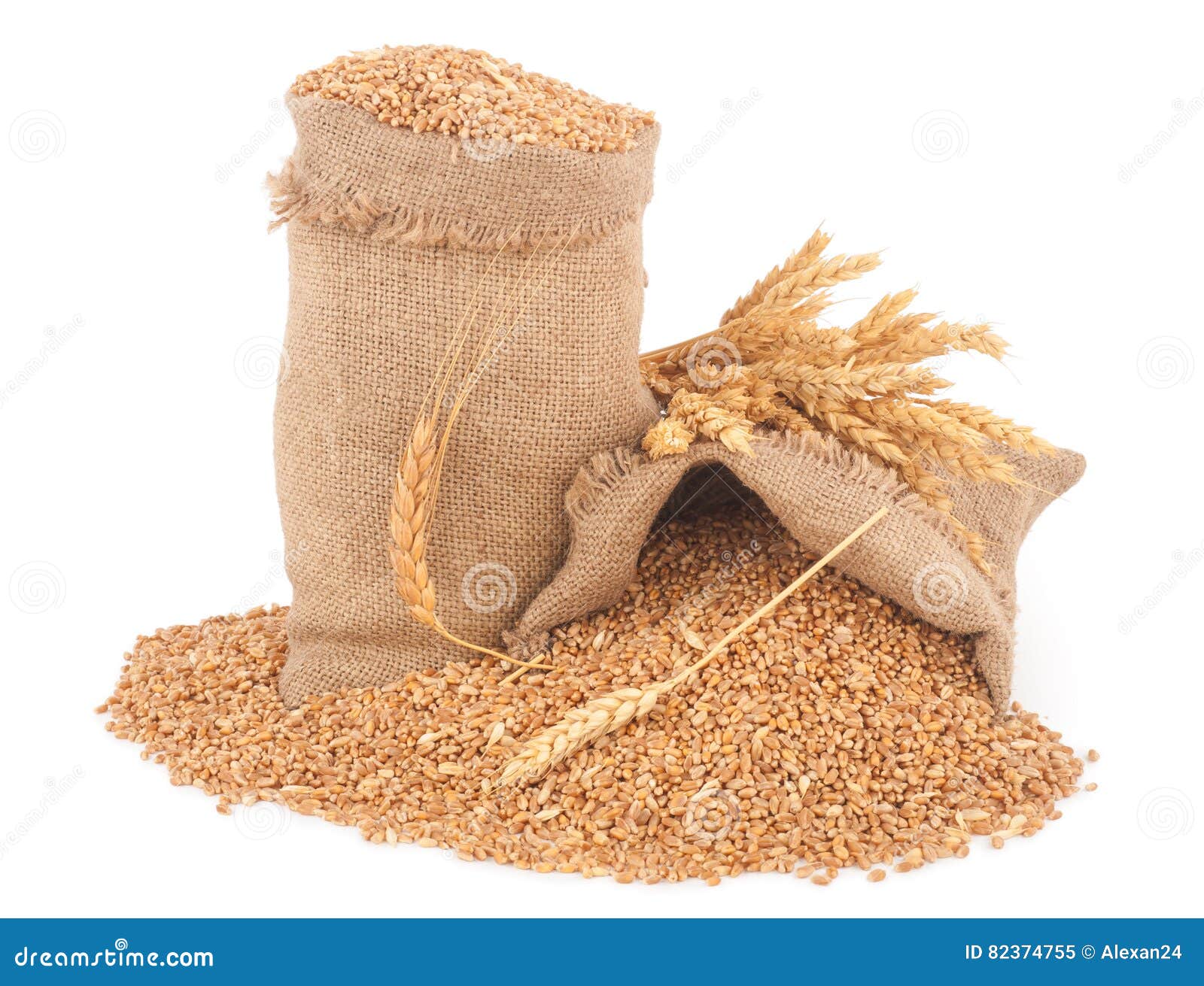 Sacks of wheat grains stock image. Image of crushed, sacks - 82374755