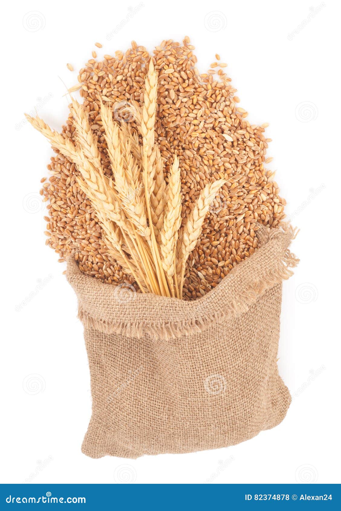Sacks of wheat grains stock photo. Image of grain, hard - 82374878