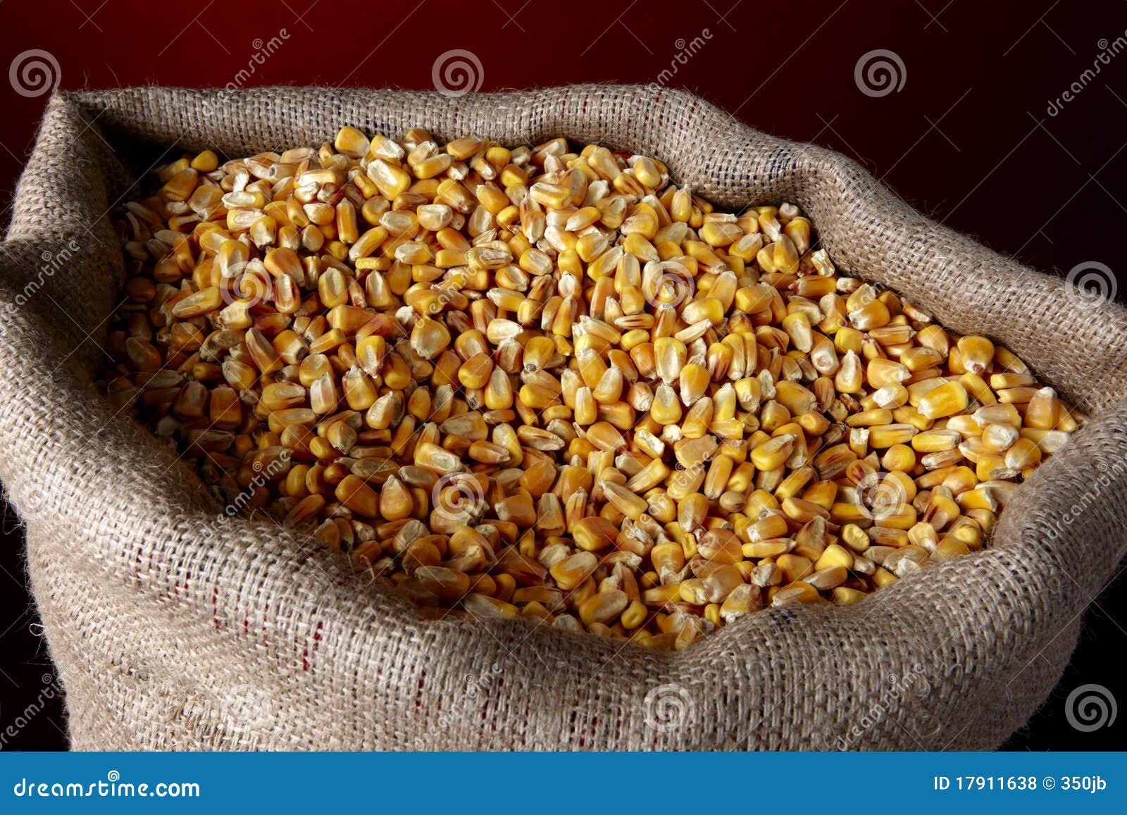 Saco de milho foto de stock. Imagem de orgânico, textura - 17911638