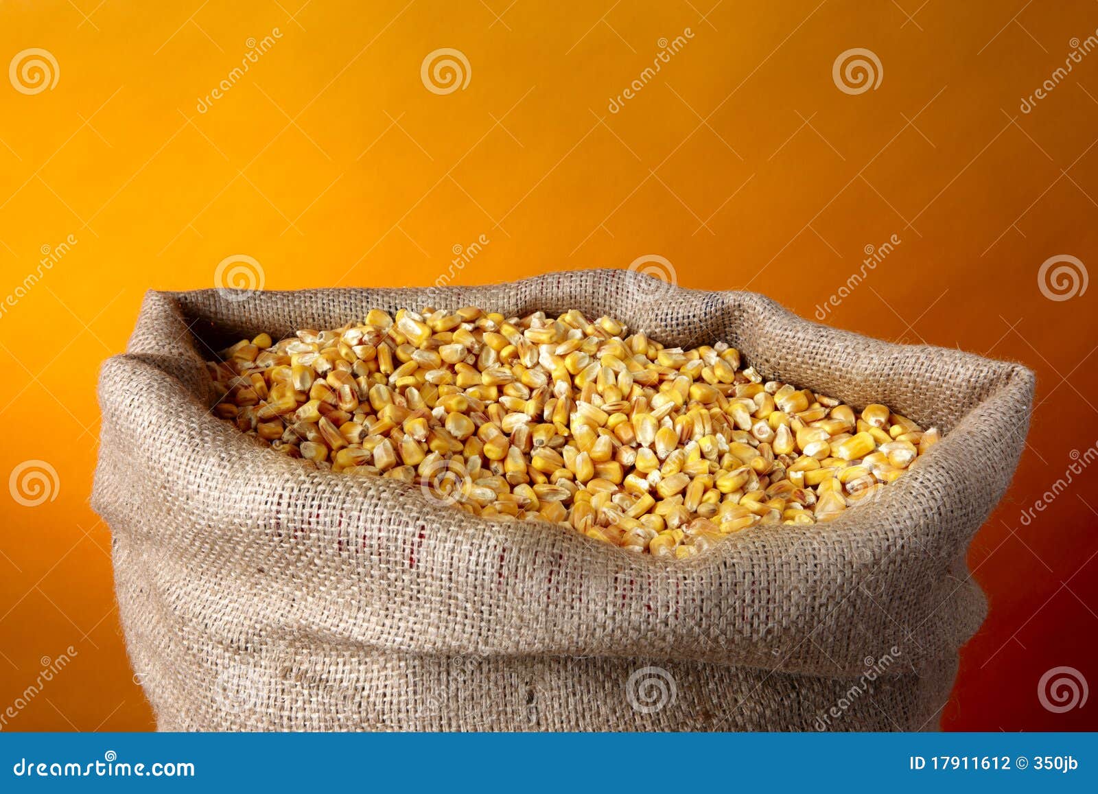 Saco de milho dourado foto de stock. Imagem de marrom - 17911612