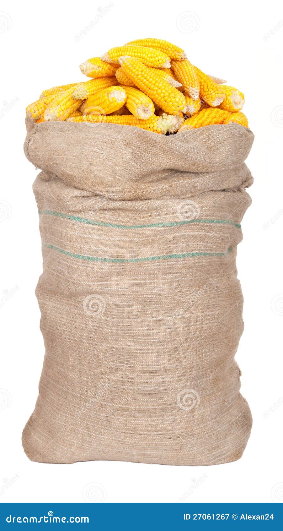 Saco Grande De Espigas De Milho Imagem de Stock - Imagem de doce, cubo ...