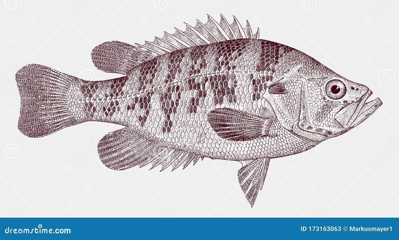 Interruptus Cartoons, Illustrations & Vector Stock Images - 33 Pictures ...