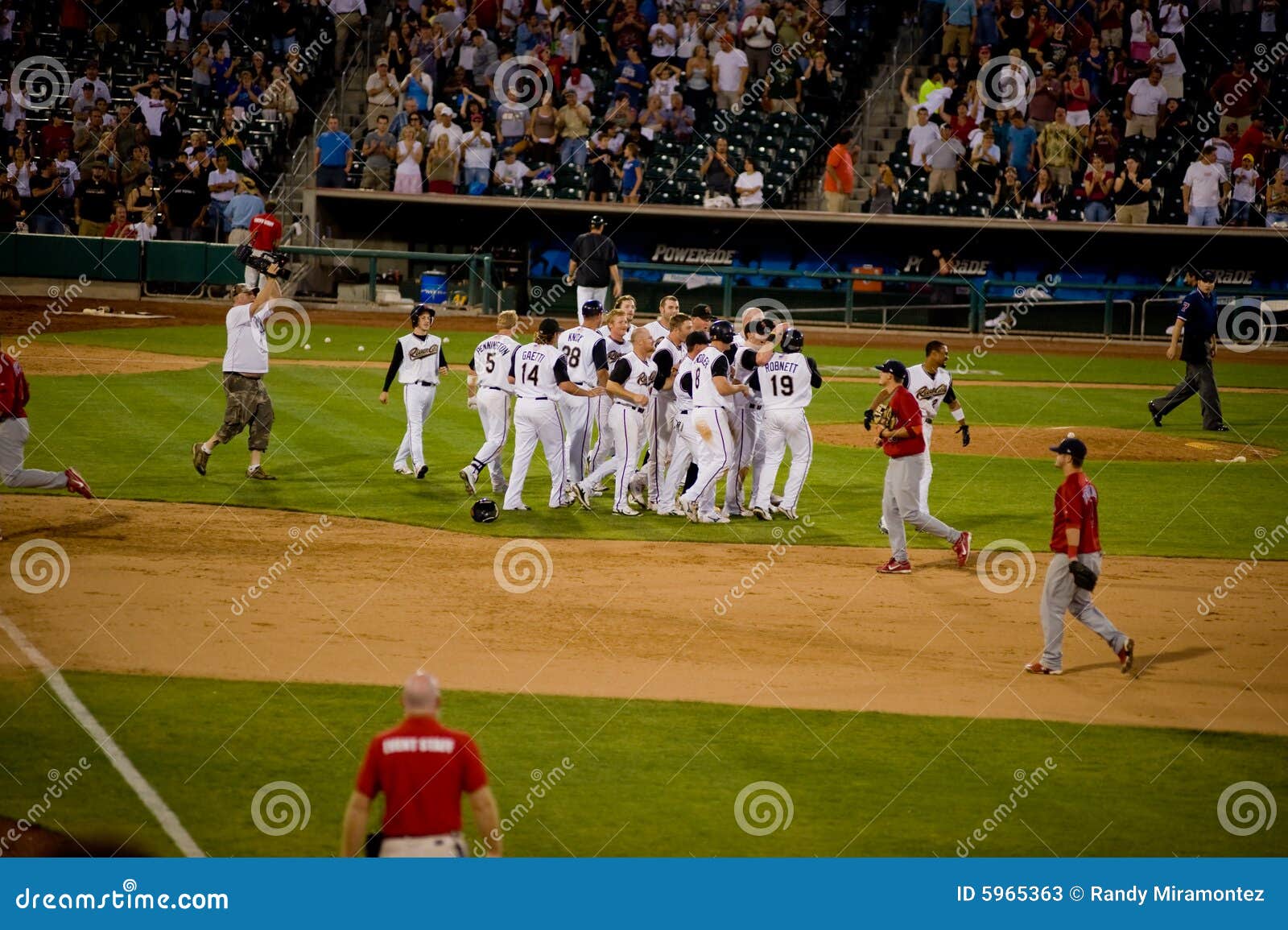 Sacramento River Cats editorial stock photo. Image of field - 5965363