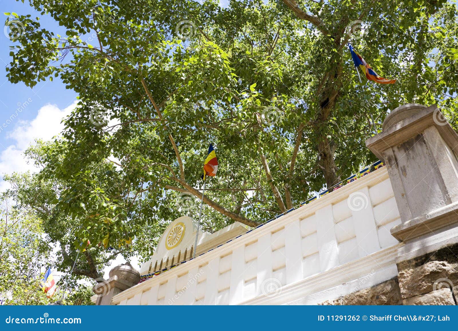 Sacred Bo Tree, Anuradhapura, Sri Lanka Stock Photo - Image of buddhist ...
