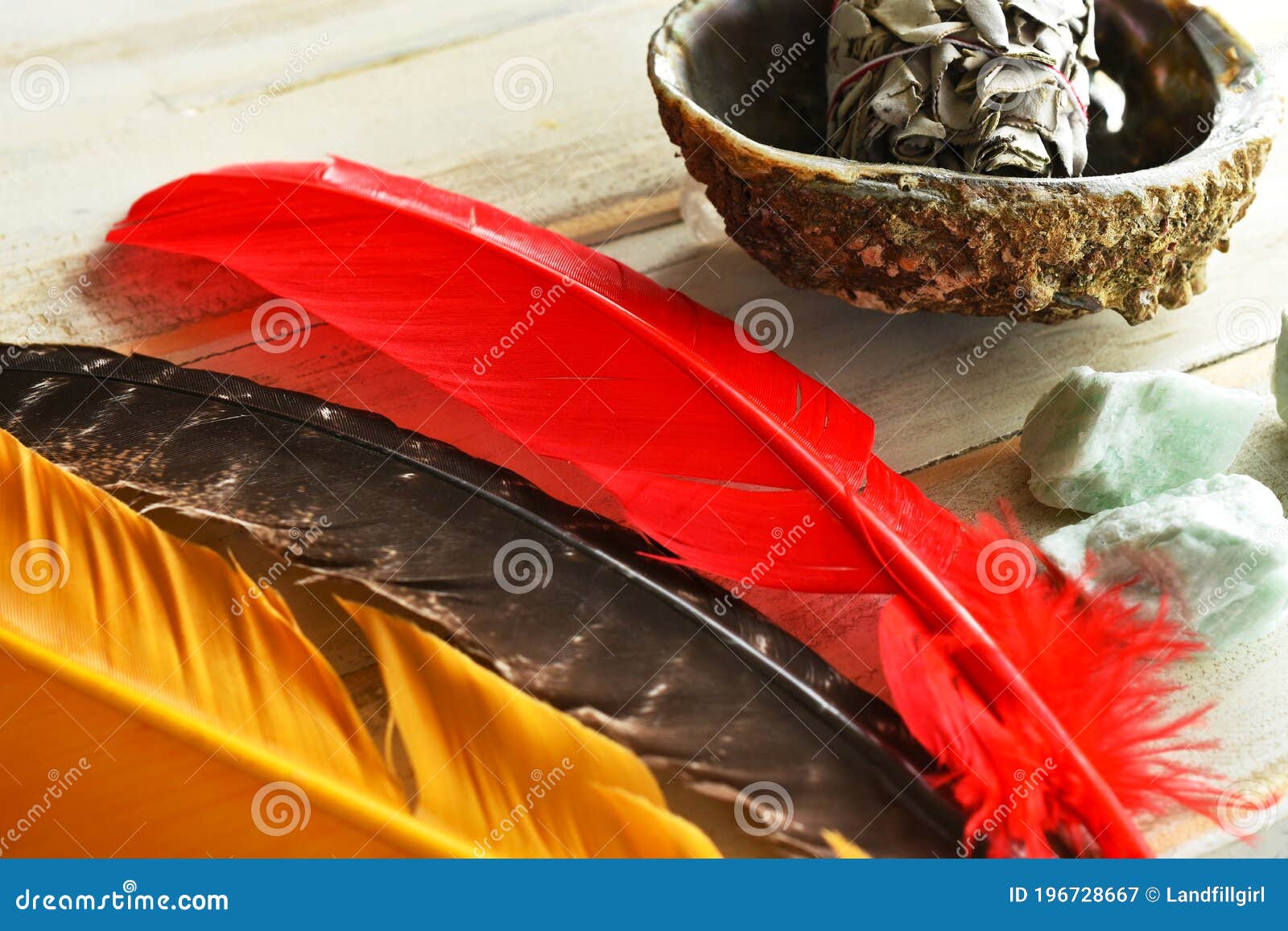 Sacred Feather and White Sage Stock Image - Image of quill, natural ...