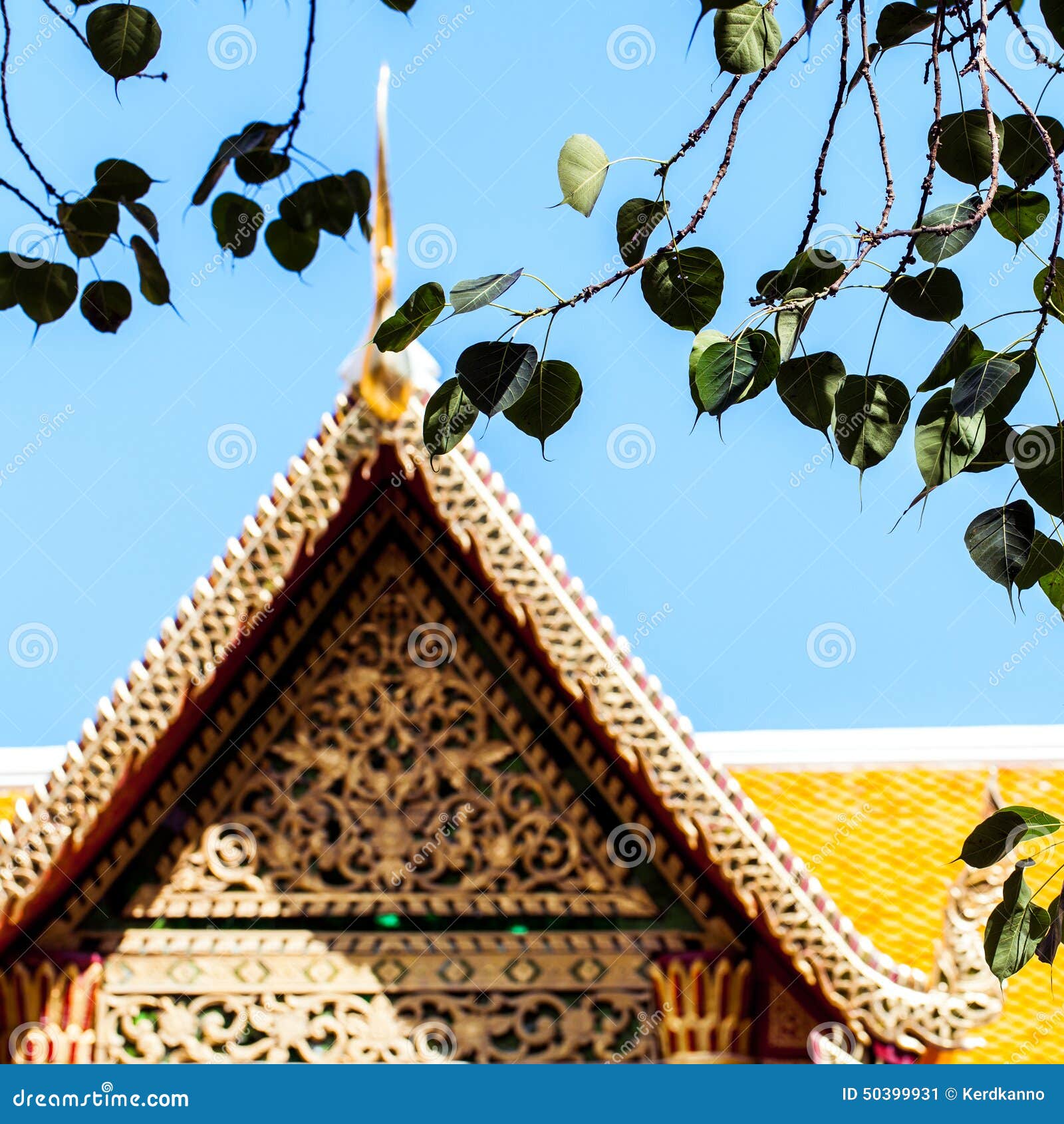 Sacred Fig Leaves with the Temple. Stock Image - Image of heritage ...