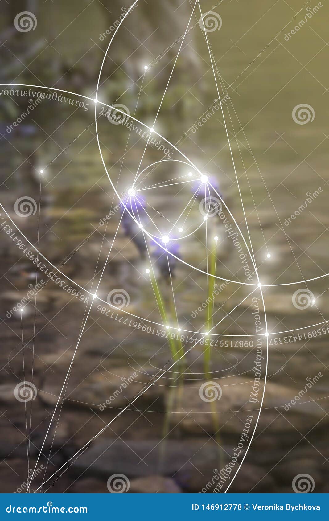 Sacred Geometry Art with Golden Ratio Numbers, Interlocking Circles ...