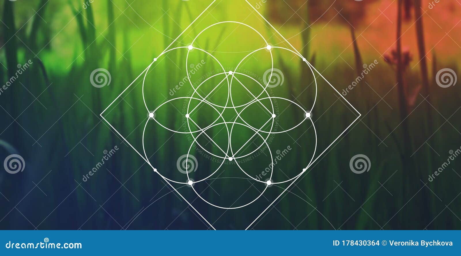 Sacred Geometry Web Banner. Math, Nature, and Spirituality in Nature ...