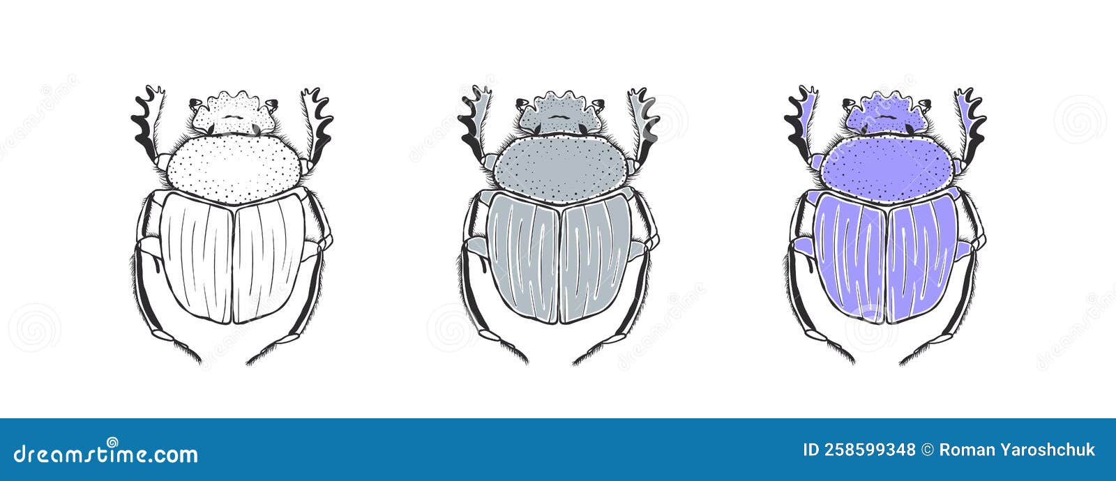 Sacred Scarab. Hand Drawn Sketched Beetle. Doodle Beetles Stock ...