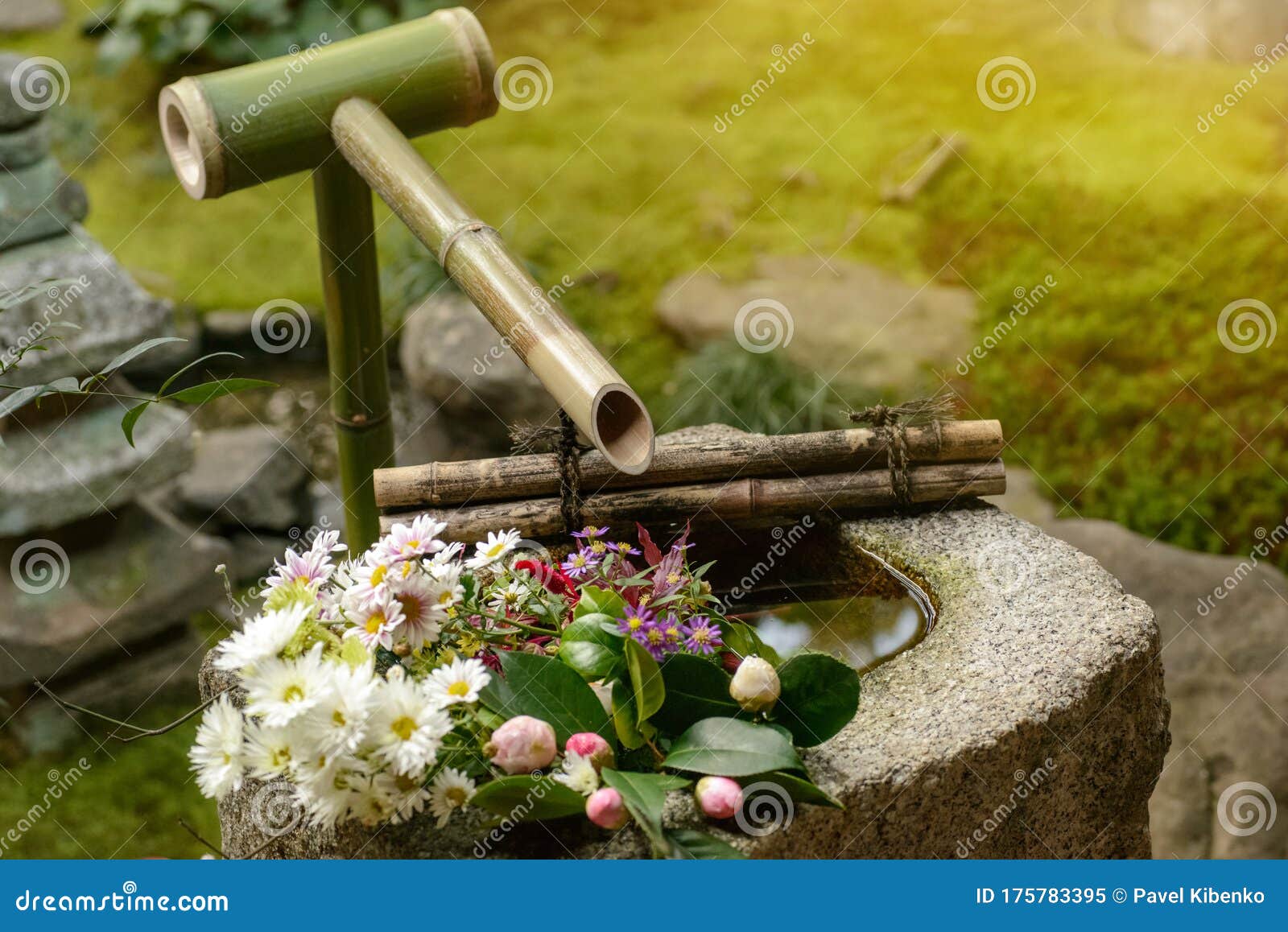 Sacred bamboo spring stock image. Image of kyoto, bamboo - 175783395