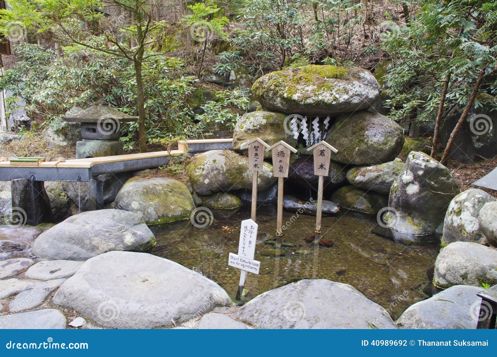 Sacred spring stock photo. Image of shrine, shinto, green - 40989692
