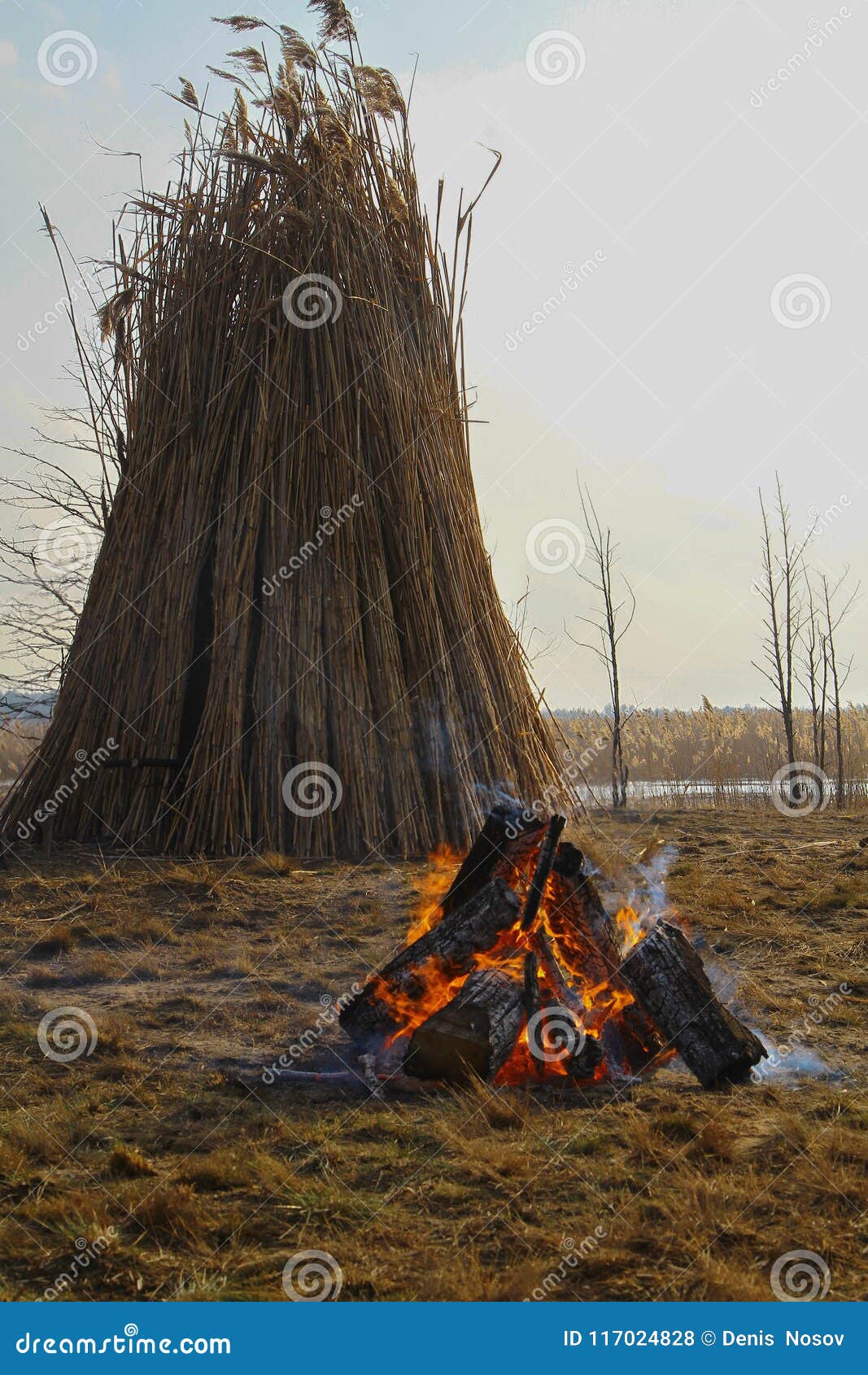 Sacrifice Fire at the Beach Stock Photo - Image of sacrifice, beach ...