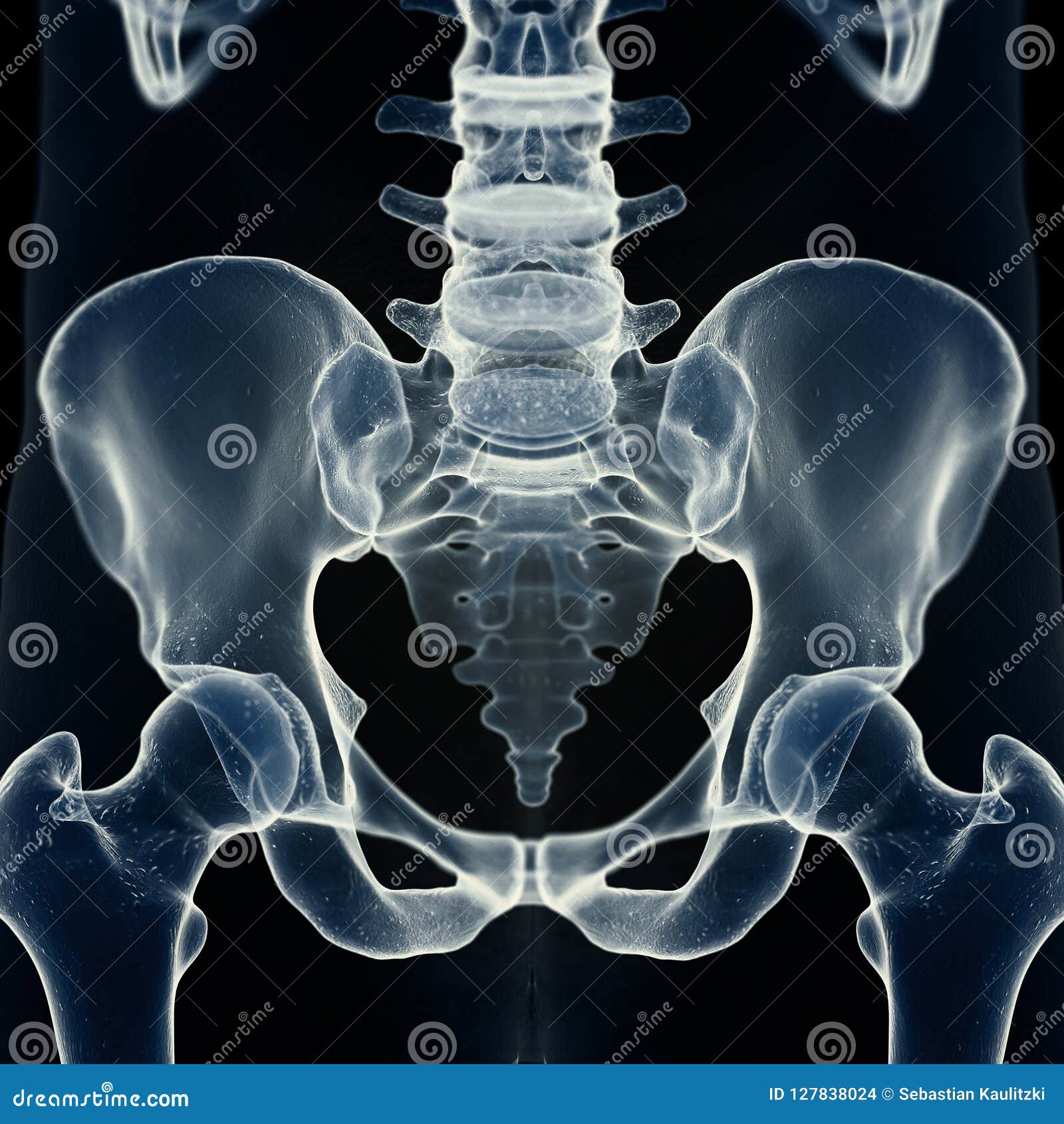 The sacrum stock illustration. Illustration of lumbar - 127838024