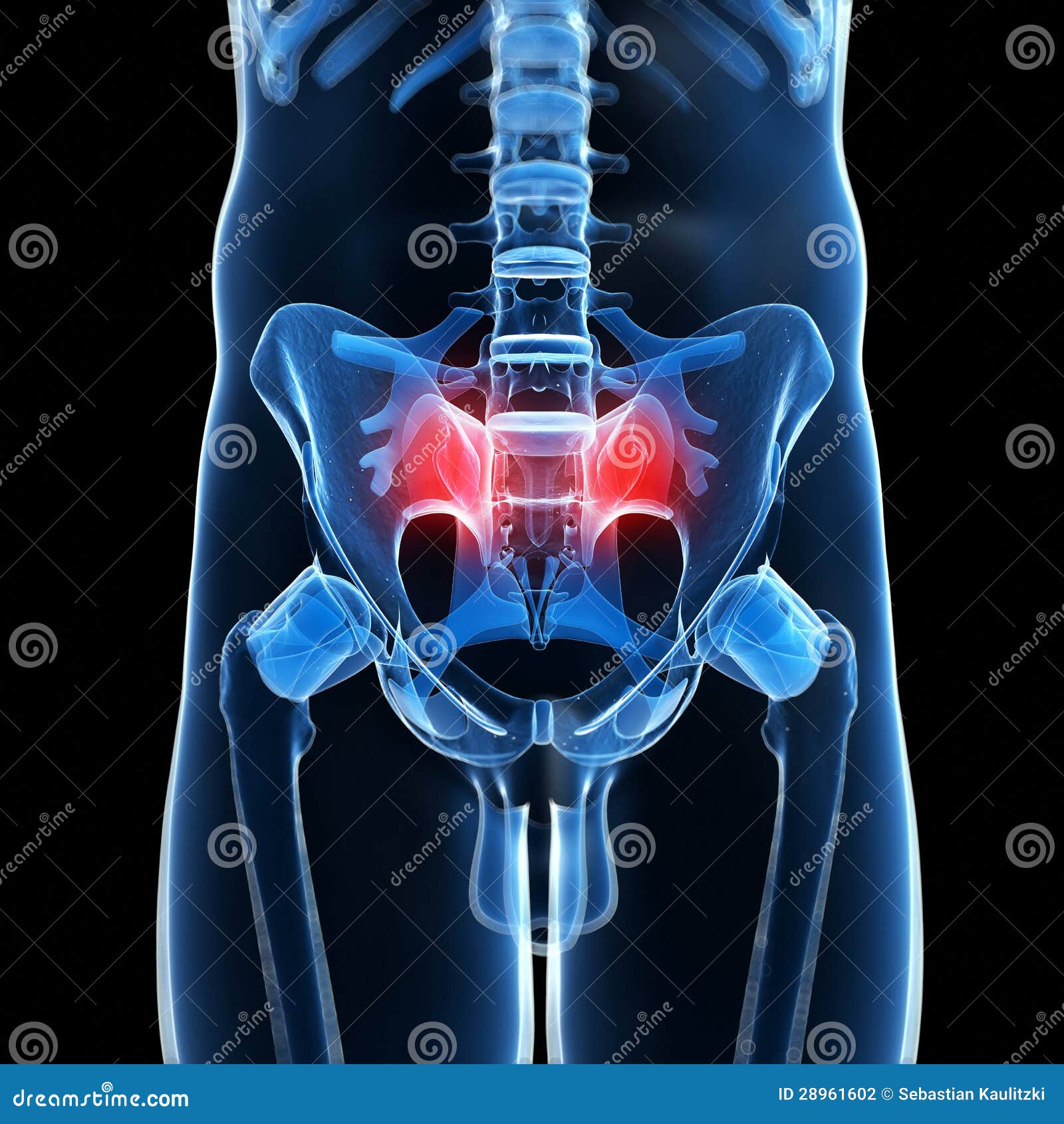Sacrum mis en valeur illustration stock. Illustration du inflammation ...