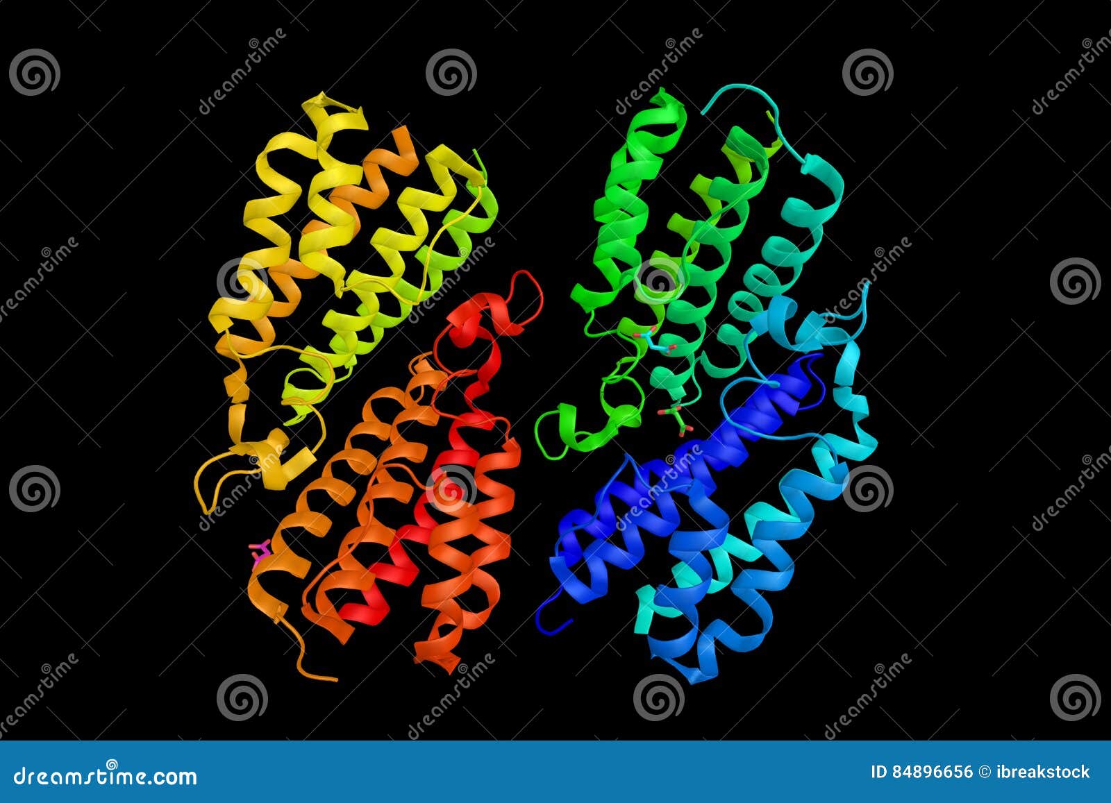 Sacsin, a Protein Which is Essential for Normal Mitochondrial Ne Stock ...