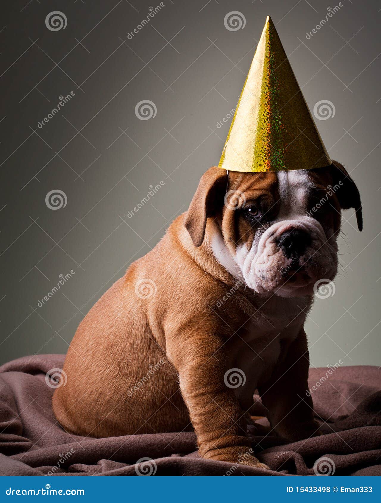 1,052 Sad Australian Stock Photos - Free & Royalty-Free Stock Photos ...