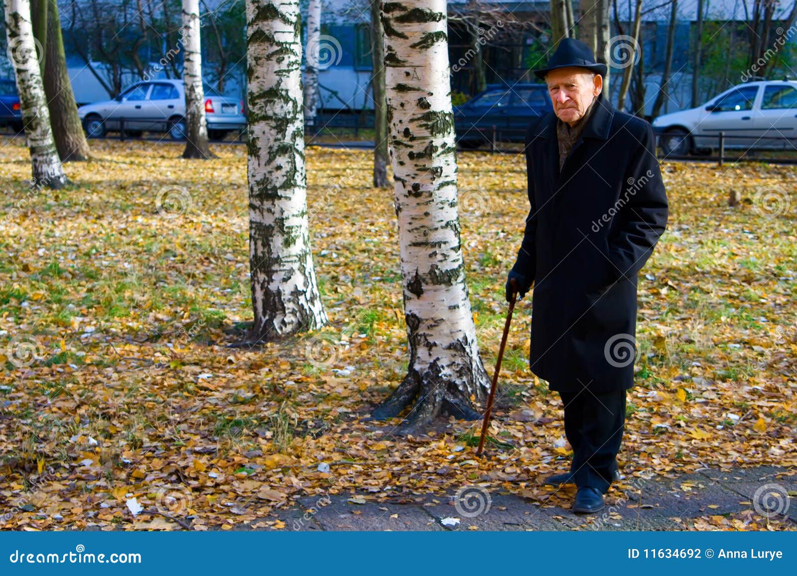 Sad Autumn stock photo. Image of walking, process, imposing - 11634692