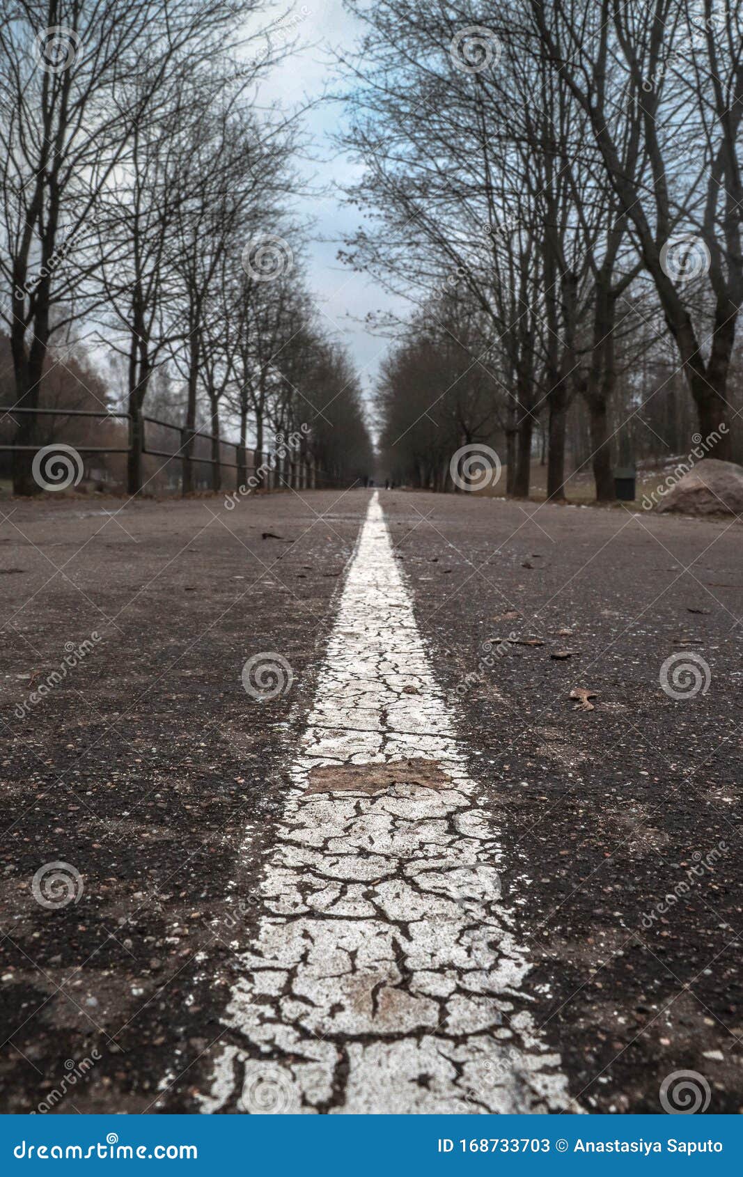 Sad bike path stock image. Image of sport, road, trees - 168733703