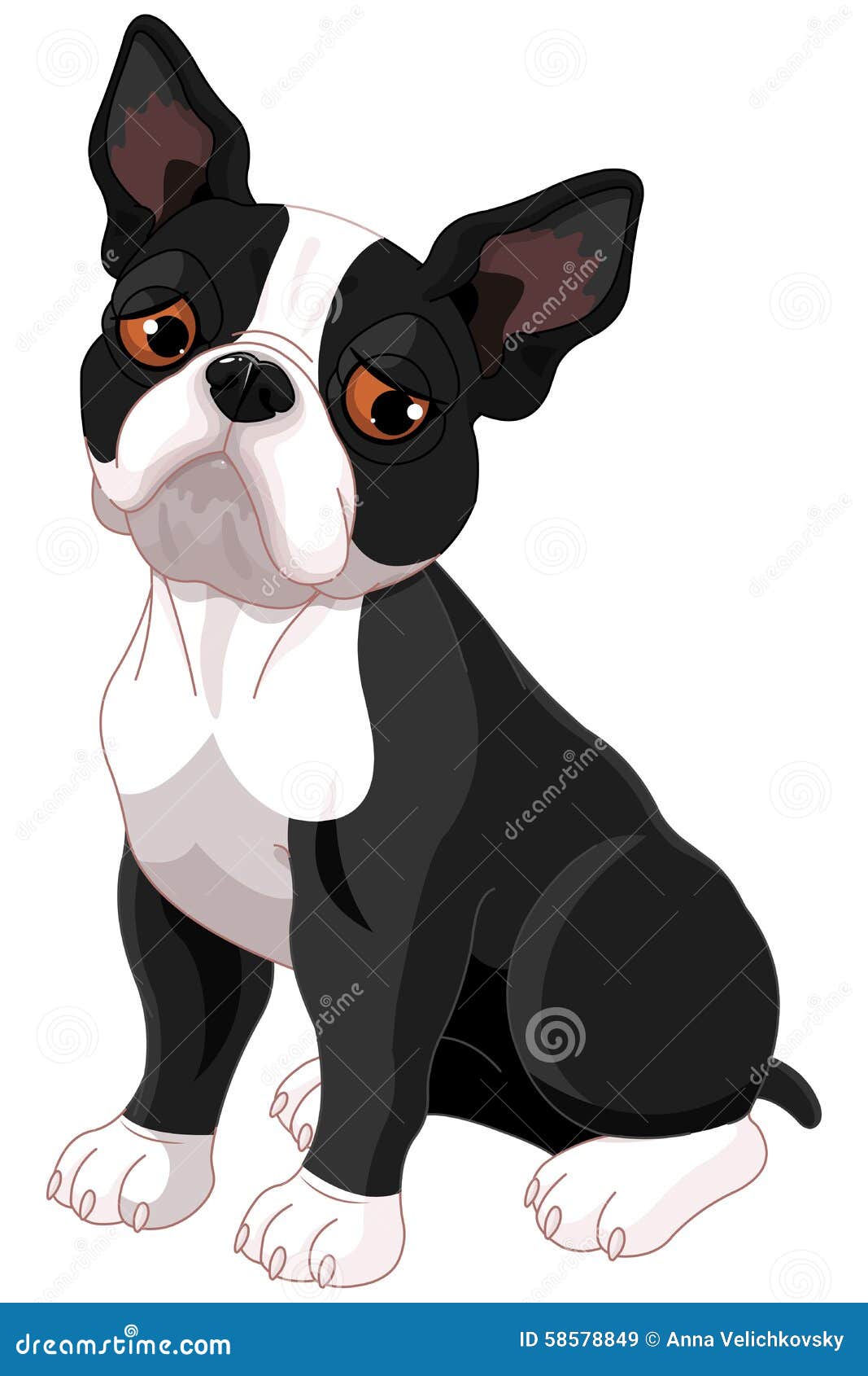 Boston Terrier Pups Awake And Sleeping Cartoon Vector | CartoonDealer ...