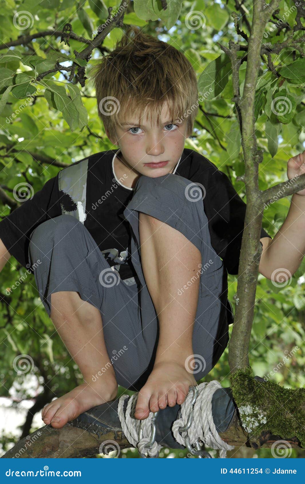 Sad Boy Playing on a Tree stock photo. Image of contemplative - 44611254