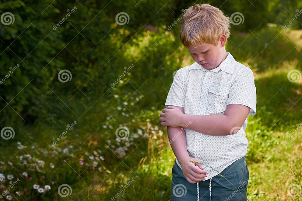 Sad Boy Walks in the Park in Summer Stock Photo - Image of explore ...