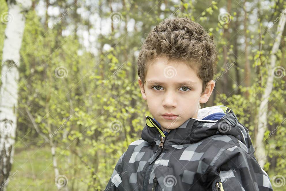 Sad boy in the woods. stock photo. Image of babies, disappointment ...