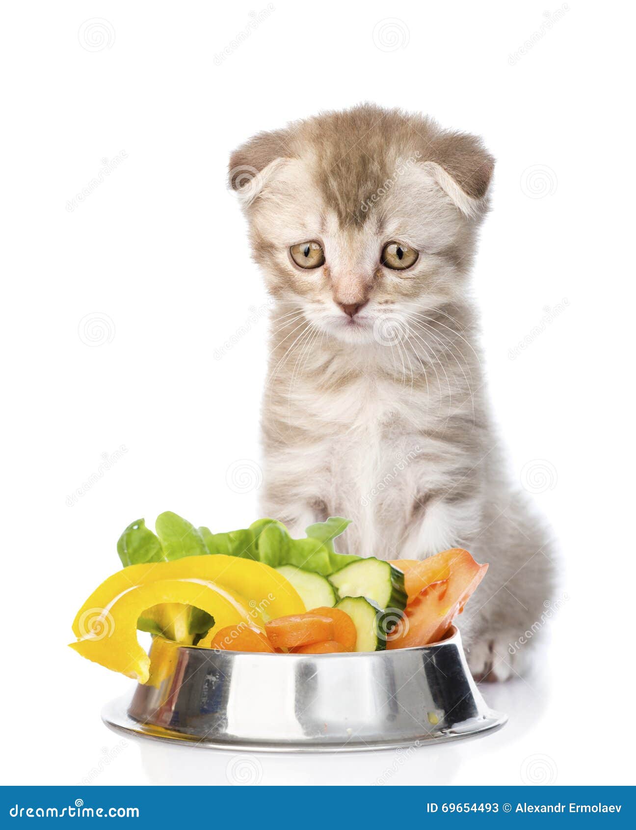 Sad Cat Sitting with a Bowl of Vegetables. Isolated on White Stock ...