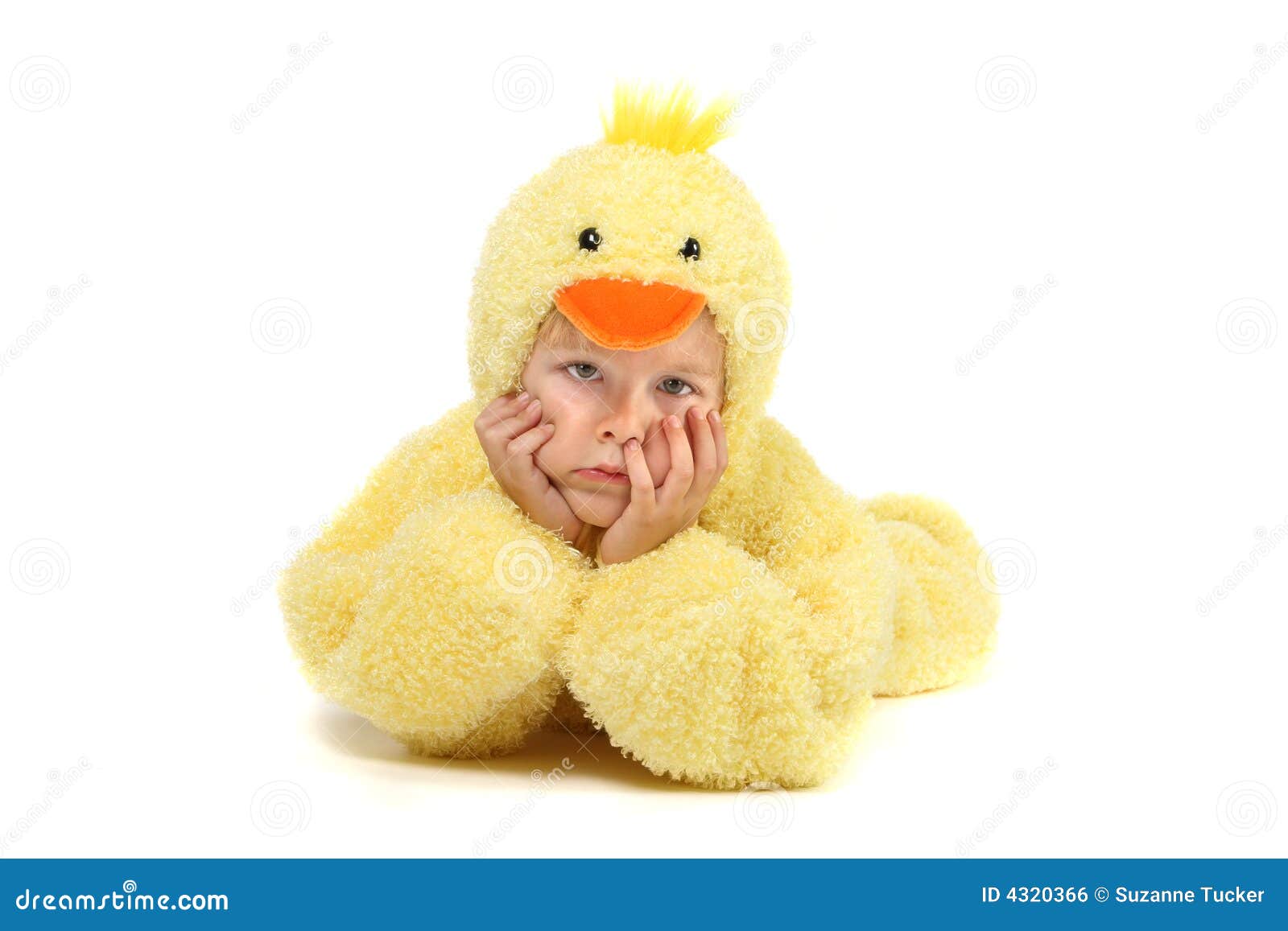 Sad Chicken Boy stock photo. Image of bird, disguise, person - 4320366