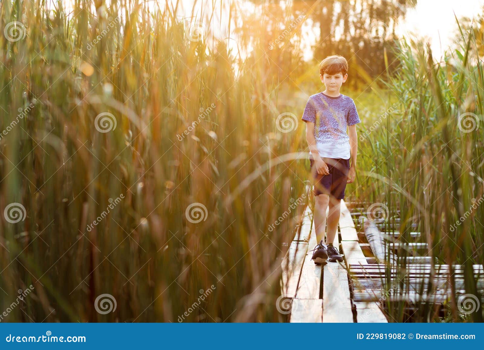 A Sad Child Walks Alone Along the Path among the Tall Grass Stock Photo ...