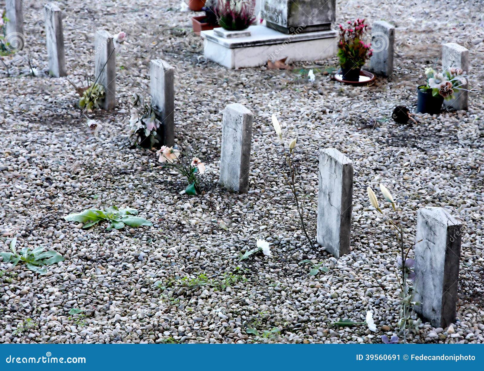 Sad Children S Graves in a Cemetery Stock Image - Image of dead, stop ...