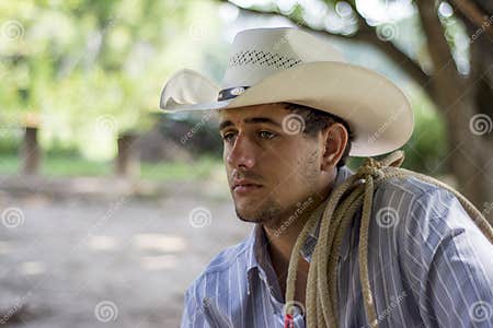 Sad cowboy stock image. Image of brazil, american, halter - 39963407