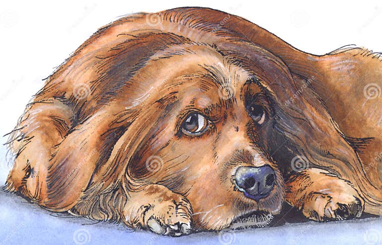 Sad dog stock illustration. Illustration of painting, nature - 4052273