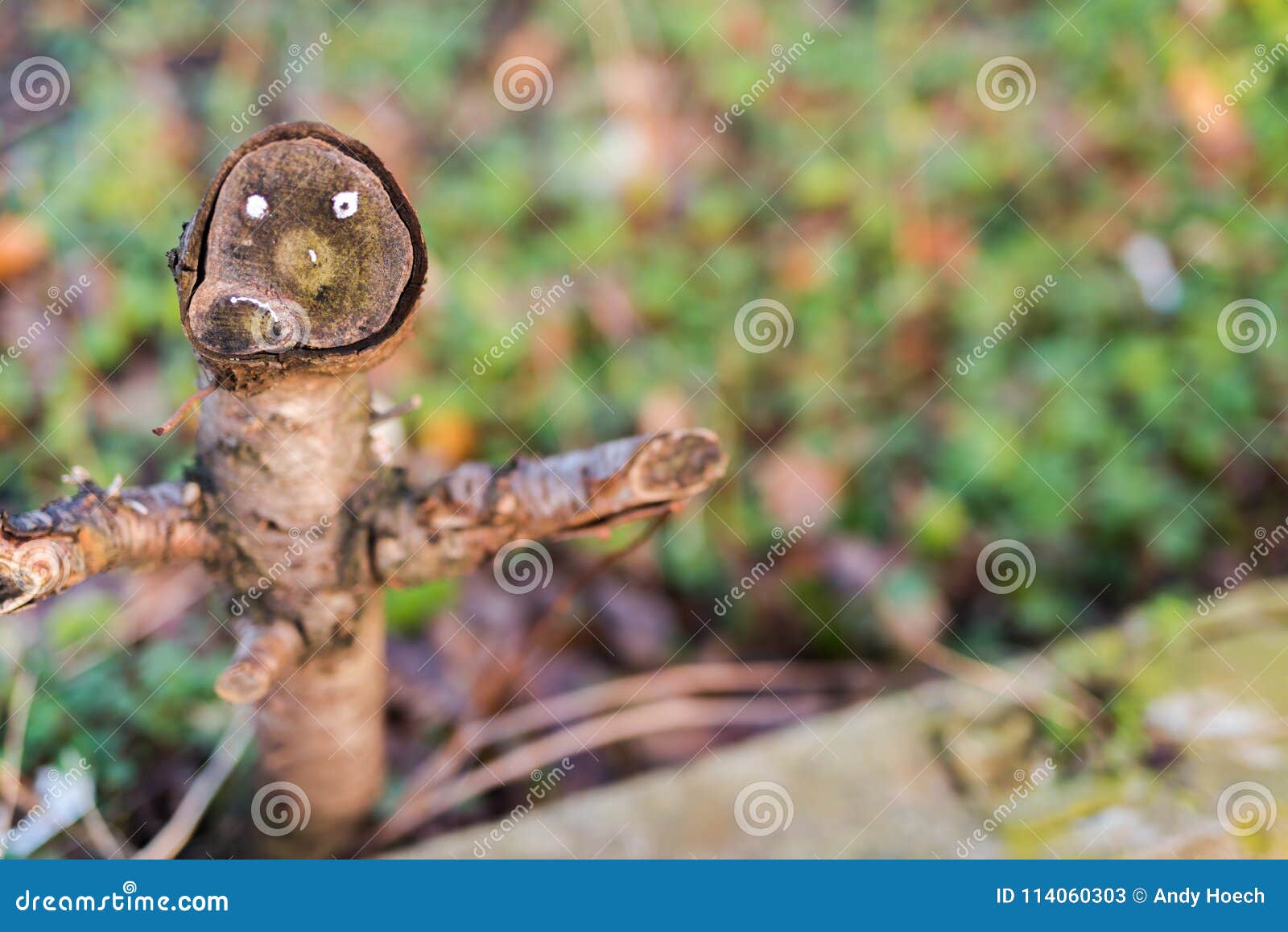 Sad little tree stock image. Image of pain, green, face - 114060303