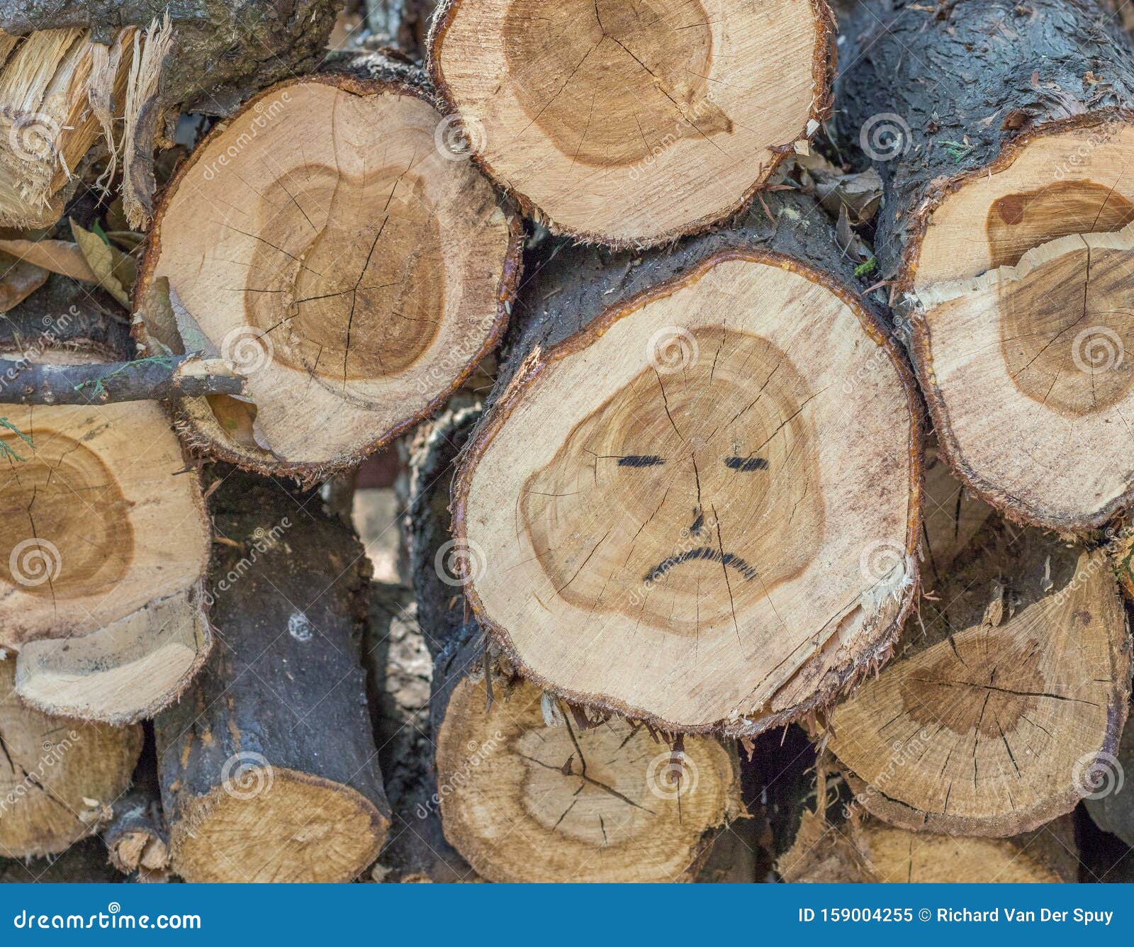 Sad Face on a Chopped Down Tree Stock Image - Image of fuel, design ...