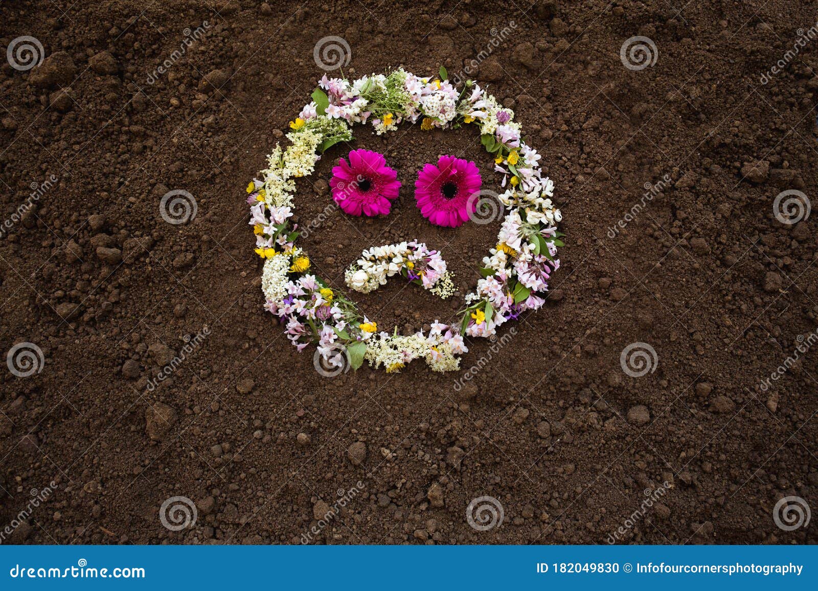 Sad flower face on earth stock photo. Image of bloom - 182049830