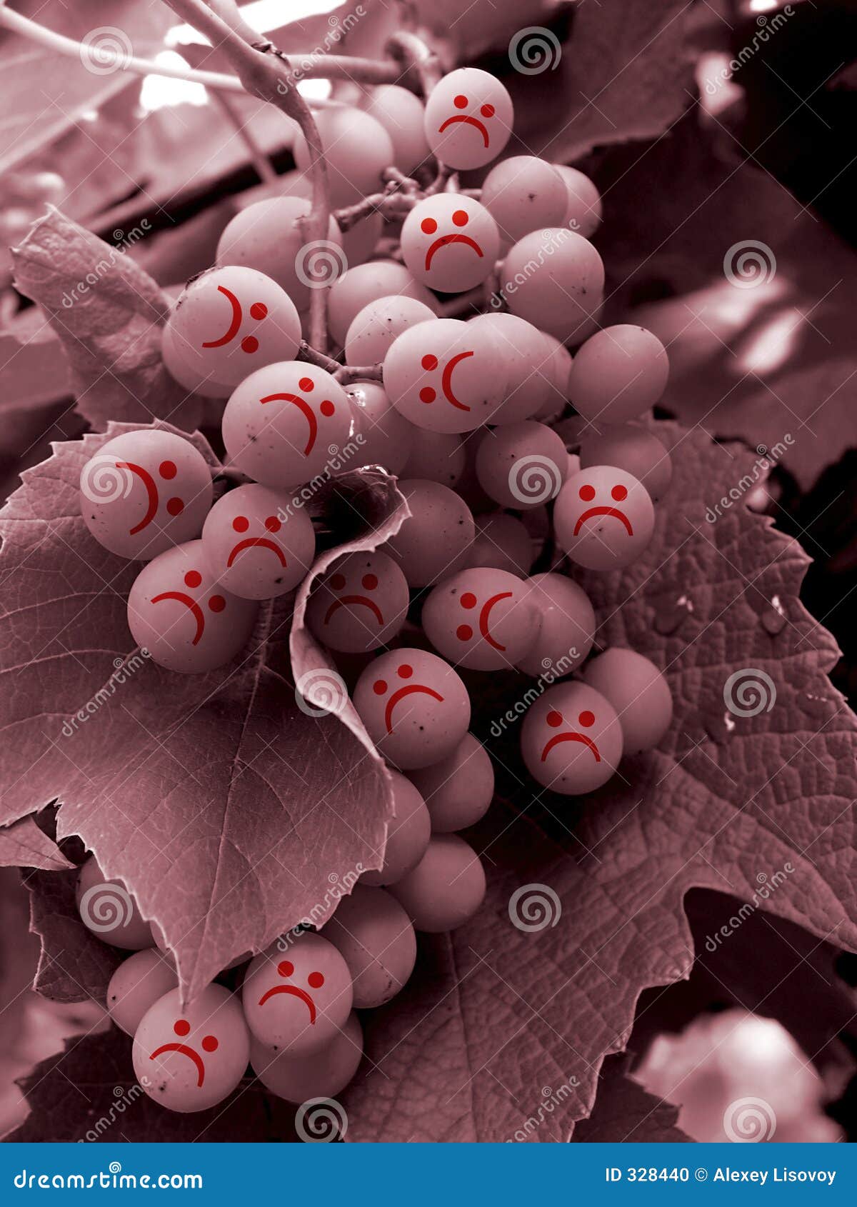 Sad grape stock photo. Image of macro, fresh, fruit, drops - 328440
