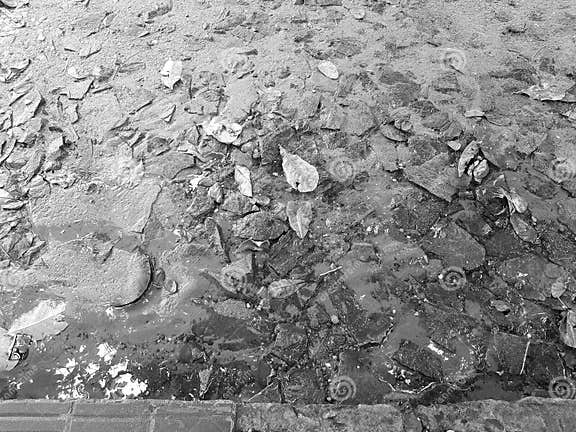 Sad ground stock photo. Image of raining, lluvia, despues - 118906894