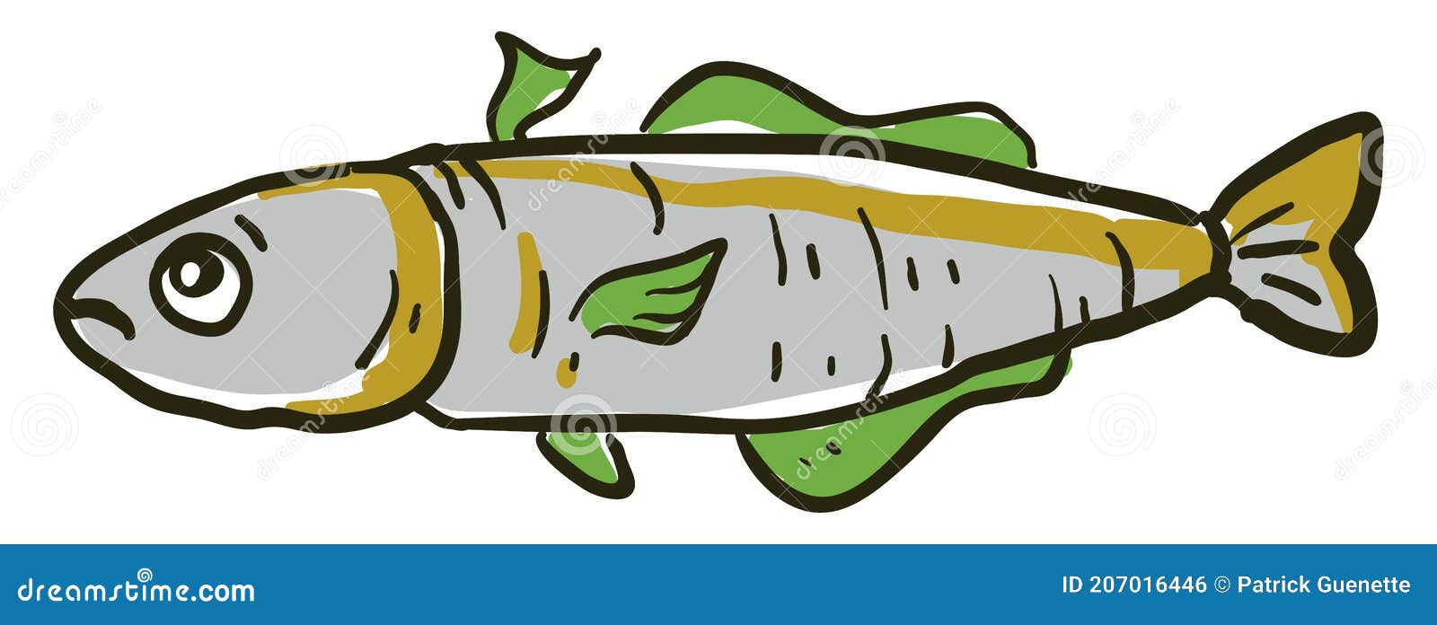 Hake - Drawing On Green Background. Stock Photography | CartoonDealer ...