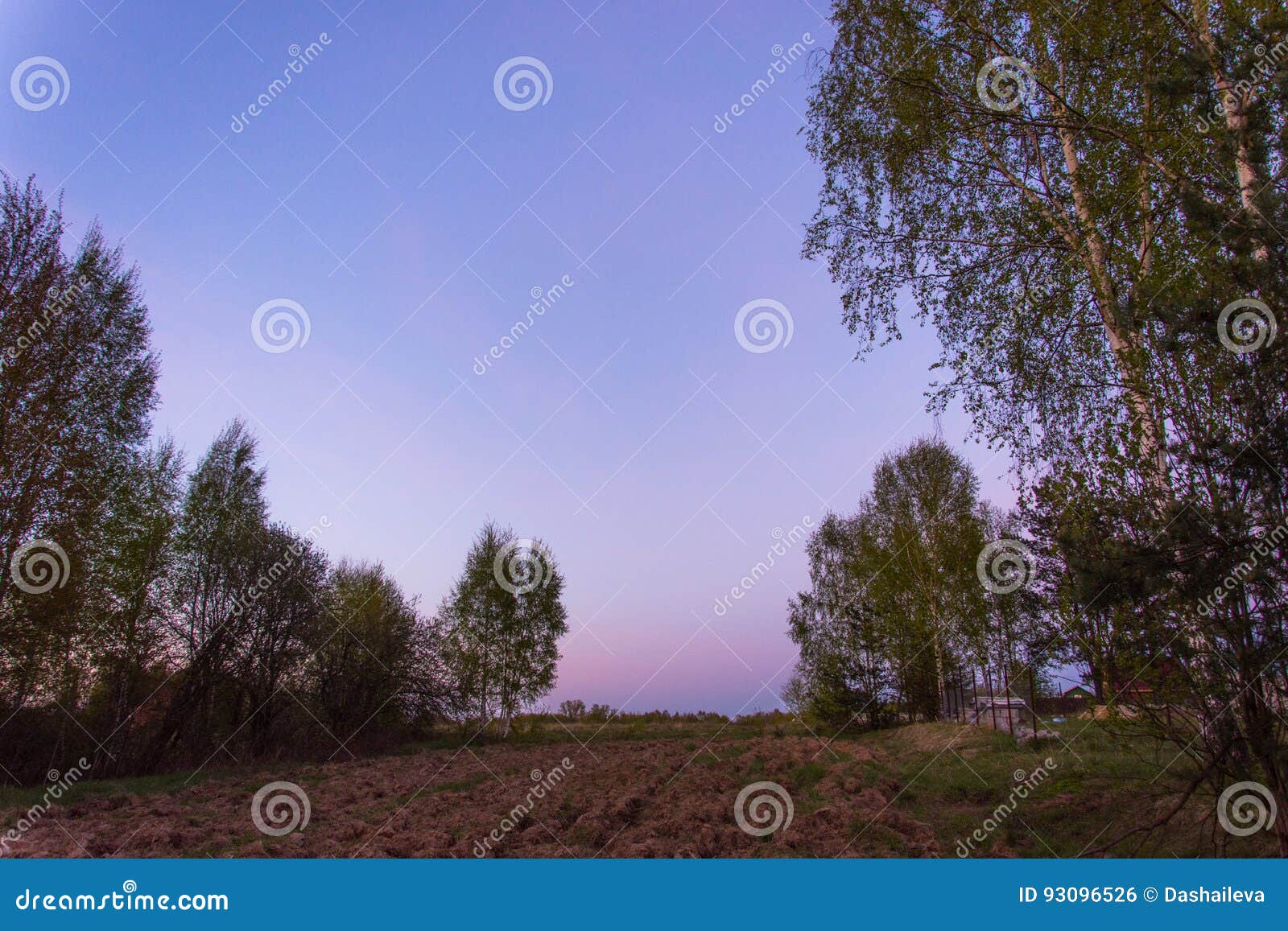 Sad landscape stock photo. Image of tree, spring, leaves - 93096526