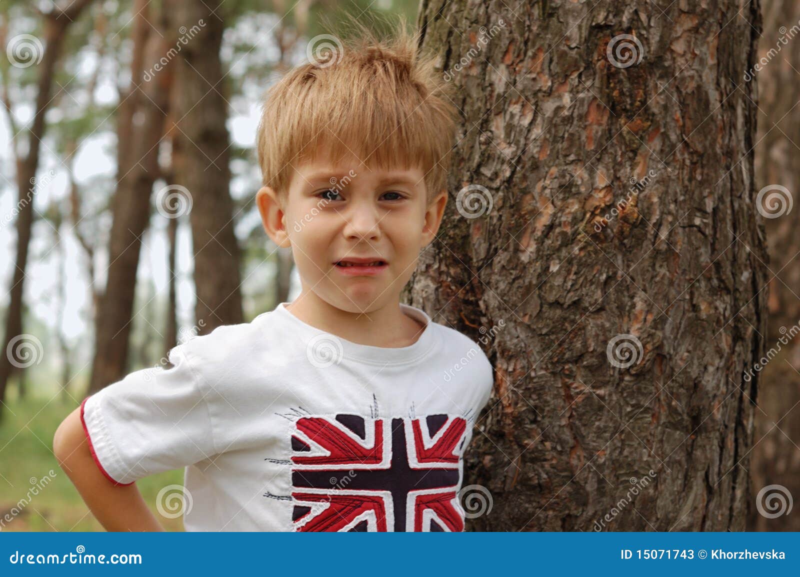 Sad Little Boy Going To Cry Stock Image - Image of cute, punish: 15071743