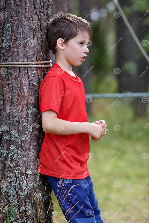 Sad Little Boy Standing Under the Tree Stock Photo - Image of innocence ...