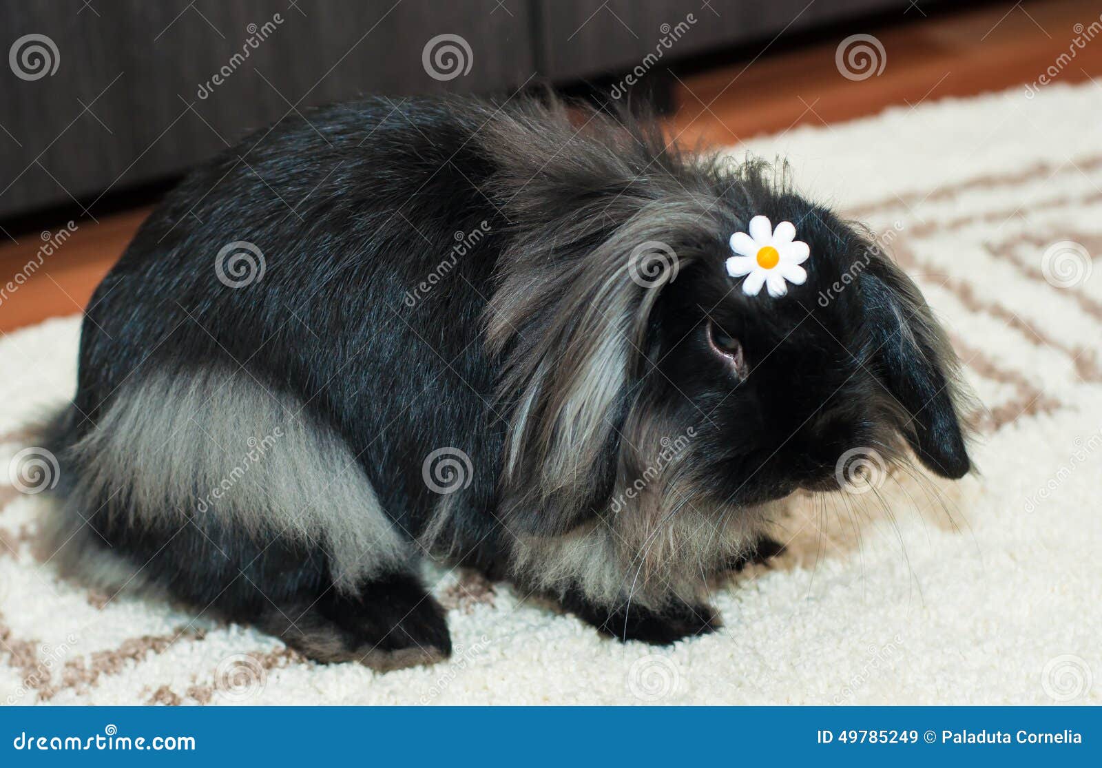 Sad-looking rabbit stock image. Image of life, gray, farm - 49785249