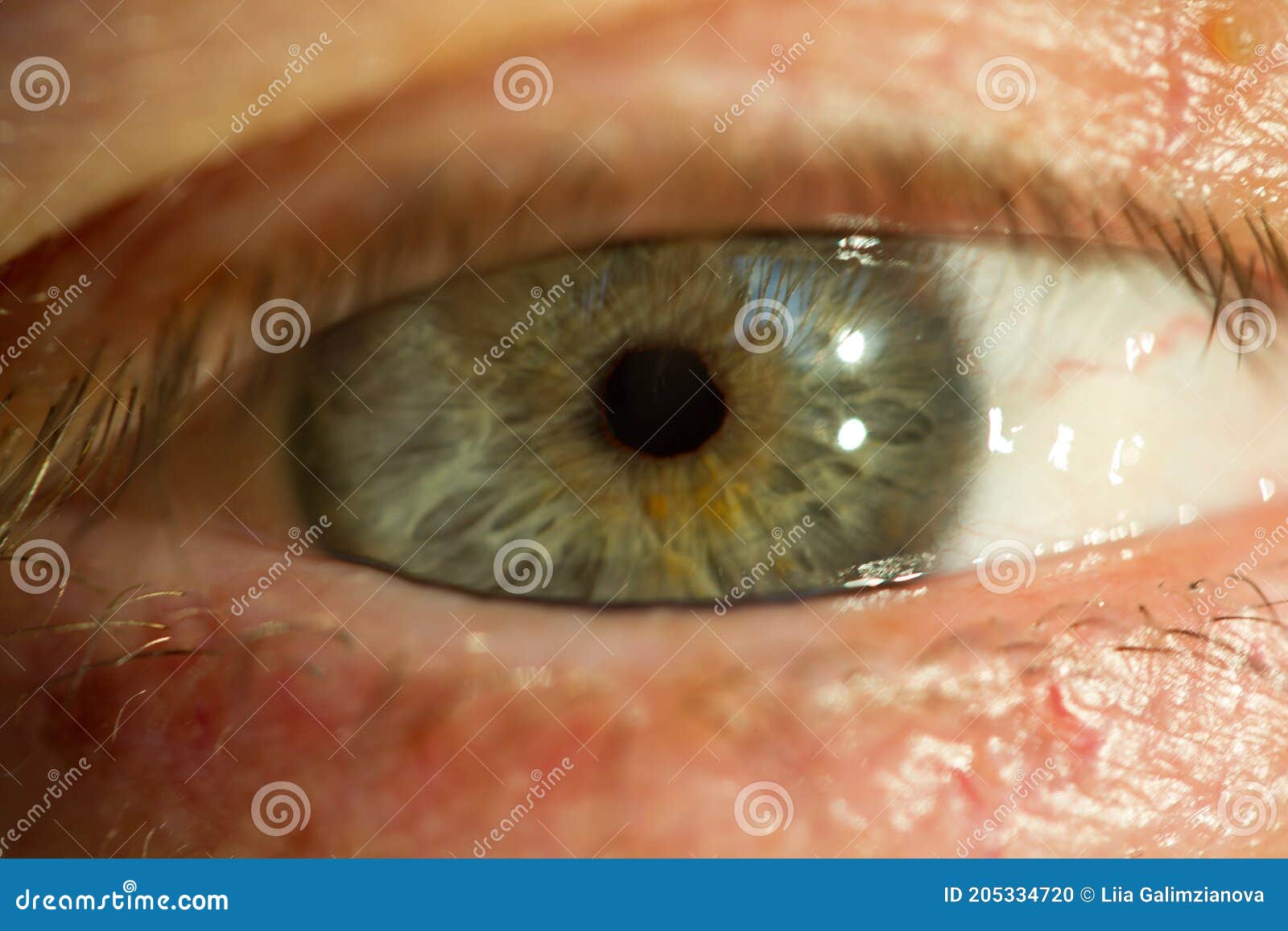 Sad man eye stock photo. Image of green, intelligence - 205334720