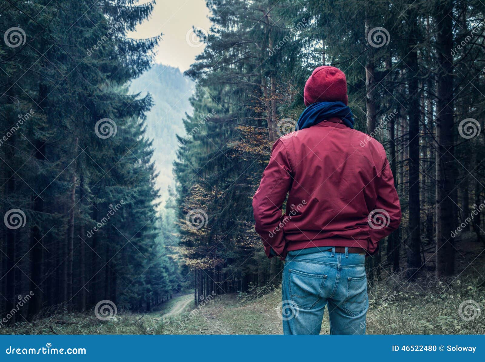Sad man walking by forest stock photo. Image of color - 46522480