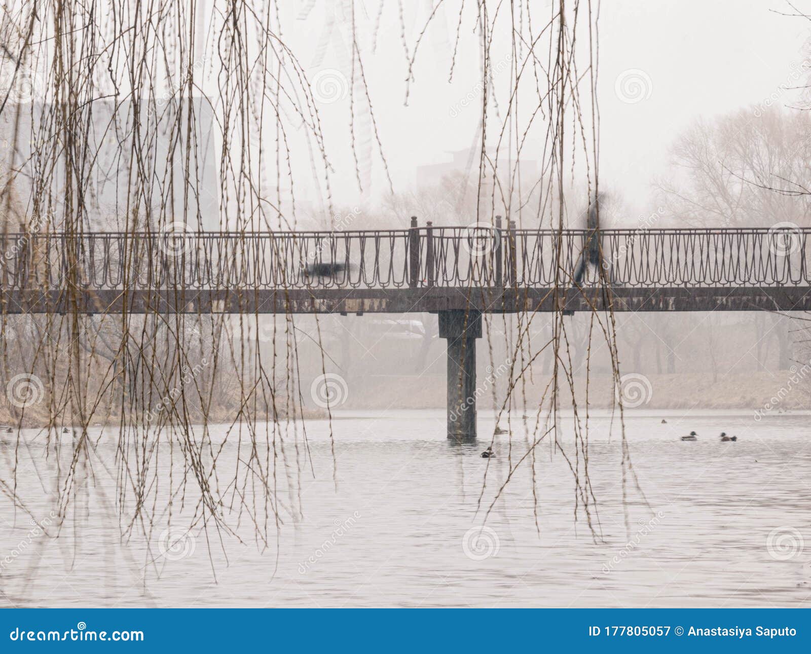Sad over bridge stock image. Image of trees, atmosphere - 177805057