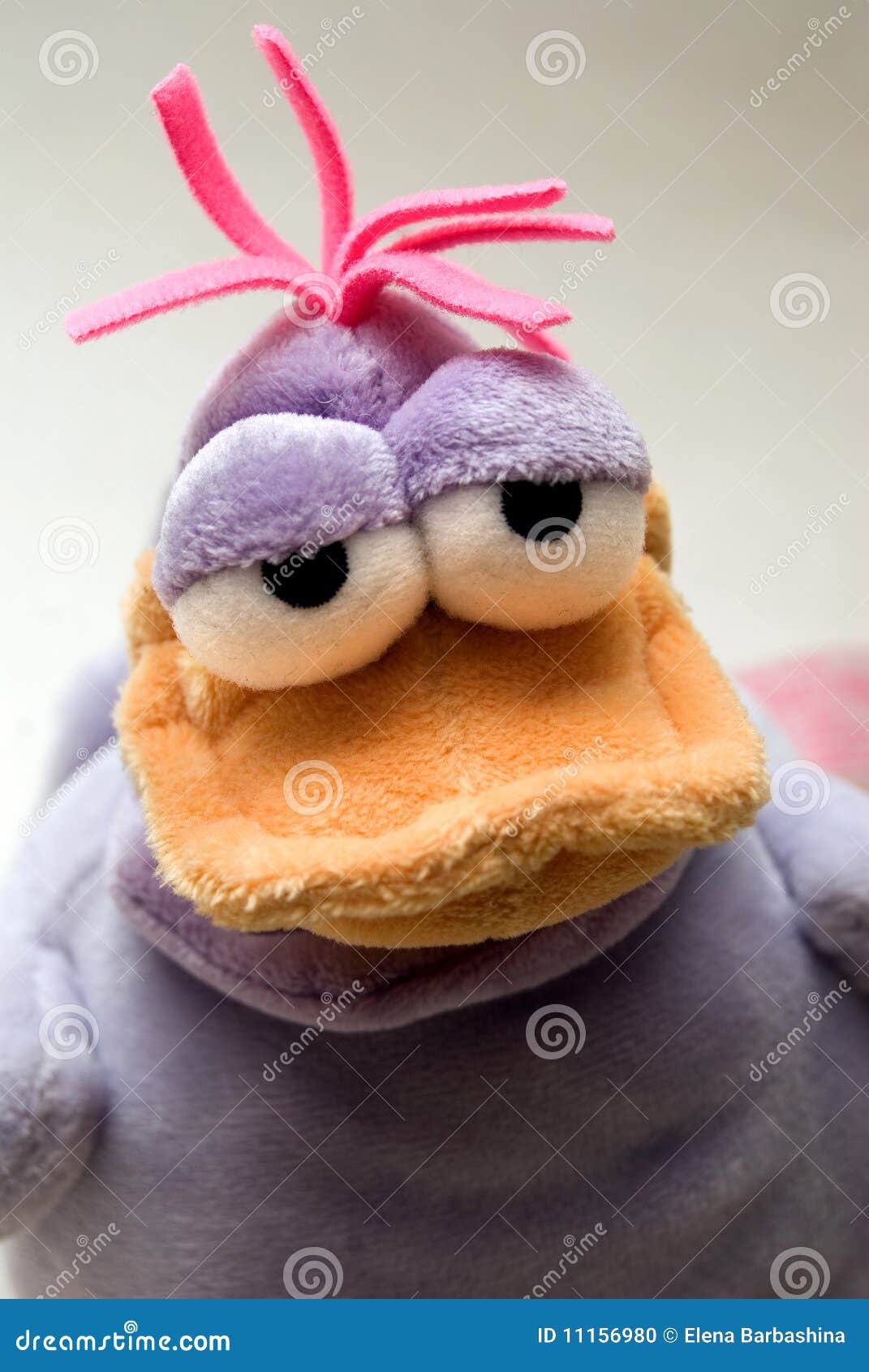 Sad plush violet duck stock photo. Image of play, funny - 11156980