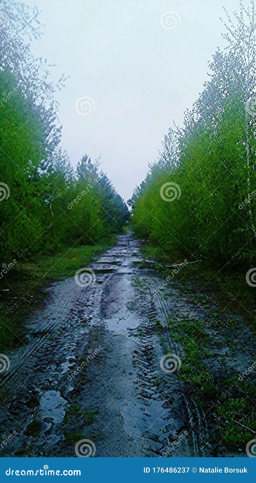 A sad rainy landscape stock image. Image of skycries - 176486237